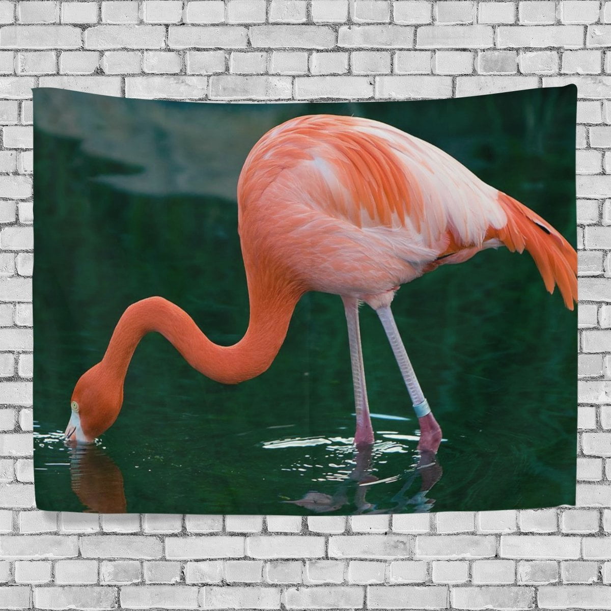 MYPOP Flamingo Tapestry Wall Decor Living Room Dorm Tapestries 60 x 40 ...
