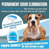 POOPH Pet Odor & Stain Eliminator Spray 20oz, Dog & Cat Urine Remover ...