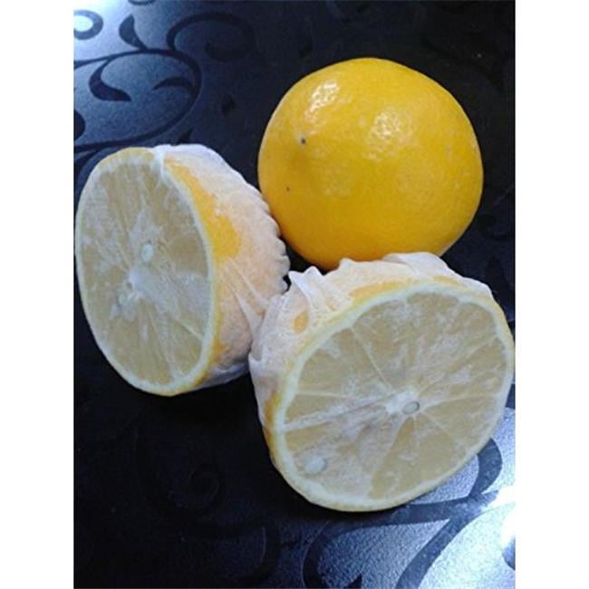 Beliz Import LEMWRAP100 Lemon Stretch Wrap - Pack of 100 - Walmart.com