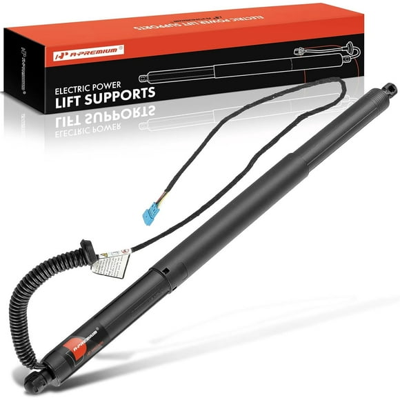 Bmw M5 Tailgate Lift Support