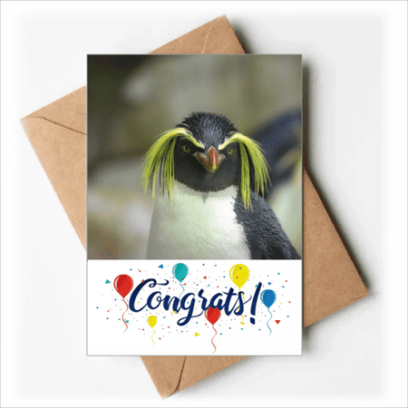 Sea Science Nature Antarctic Penguin Picture Wedding Cards ...