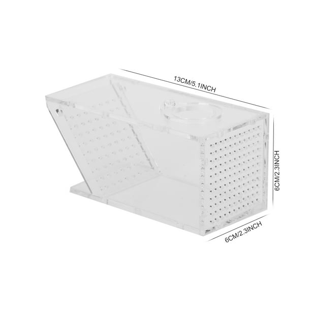 Trap Catcher Box, Hygienic Convenient Fish , For Fish - Walmart.ca