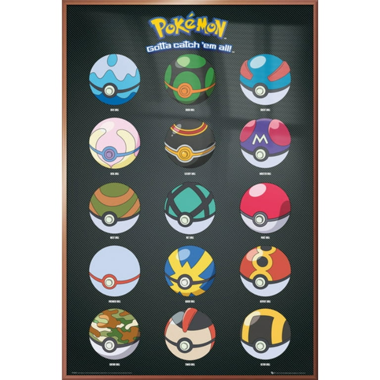 Pokeball Opening Tv Show