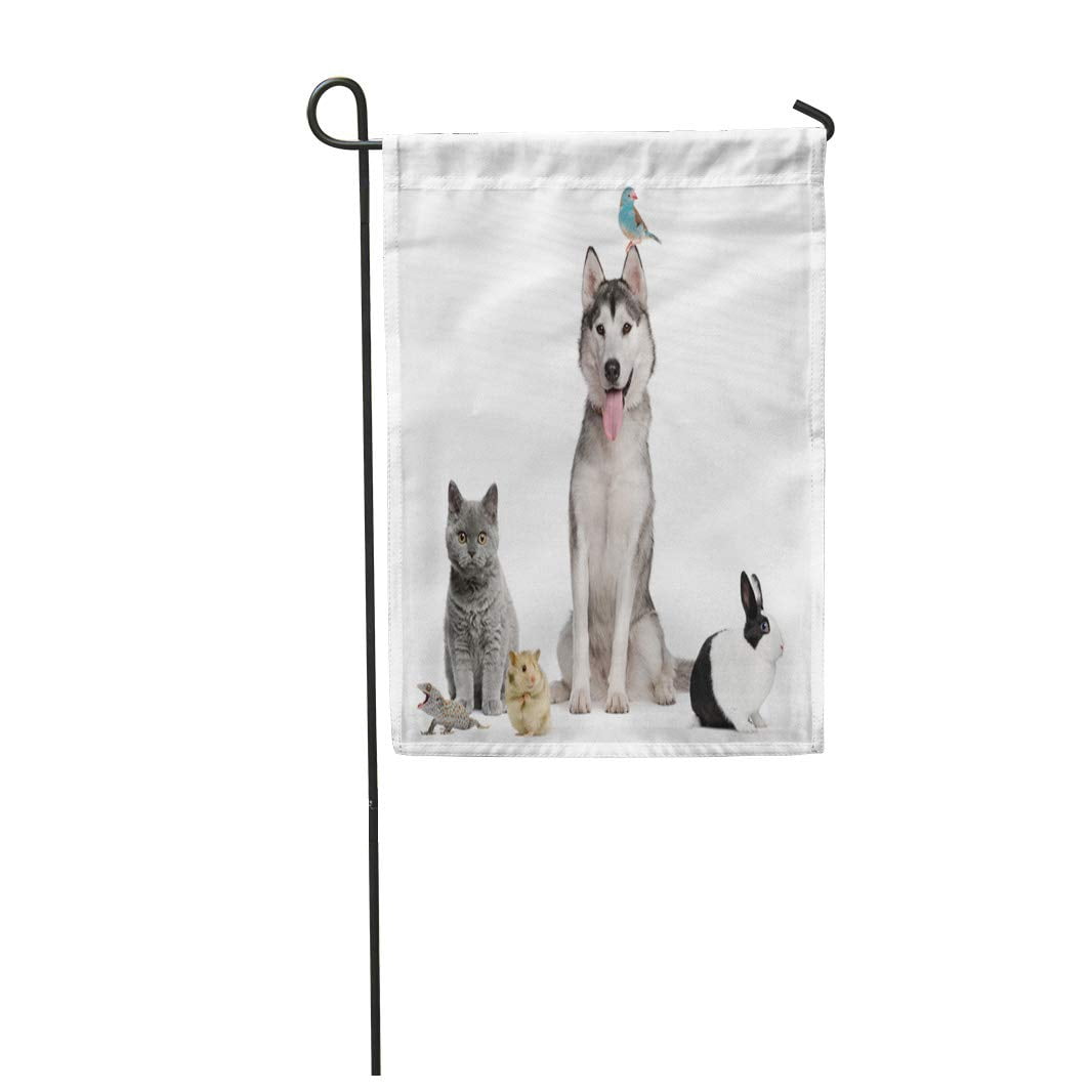 LADDKE Dog Group of Pets in Front Cat Bird Hamster Garden Flag ...