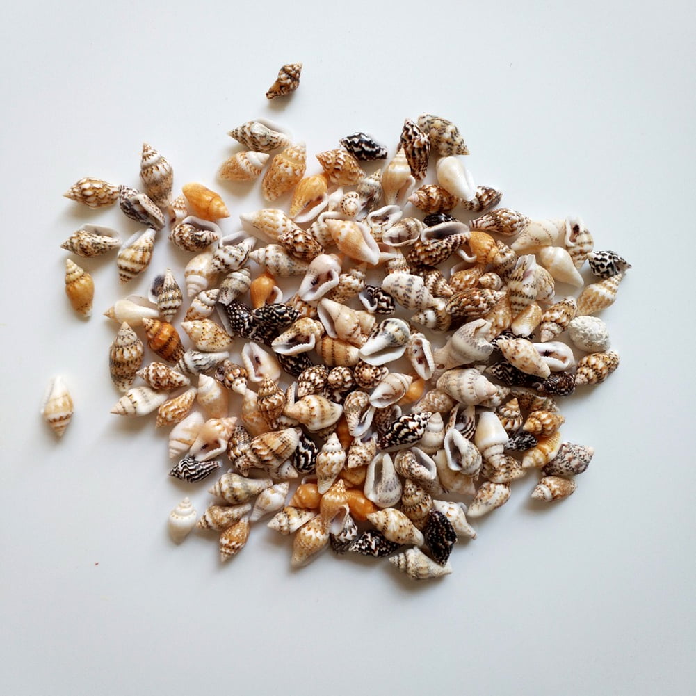 100pcs Starfish Natural Tiny Ocean Seashells for DIY Miniature Beach ...