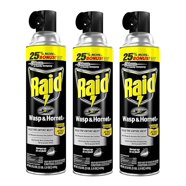 Raid Flea Killer Plus Carpet & Room Spray, 16 oz, Pack of 2 - Walmart.com