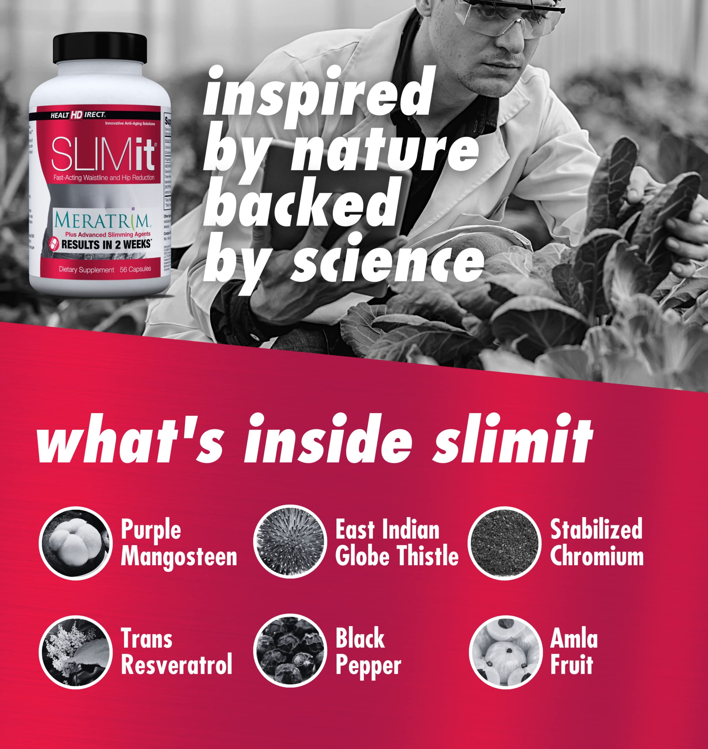 Buy SLIMit with Meratrim 800mg, Fast Weight Loss for Women and Men, Non ...