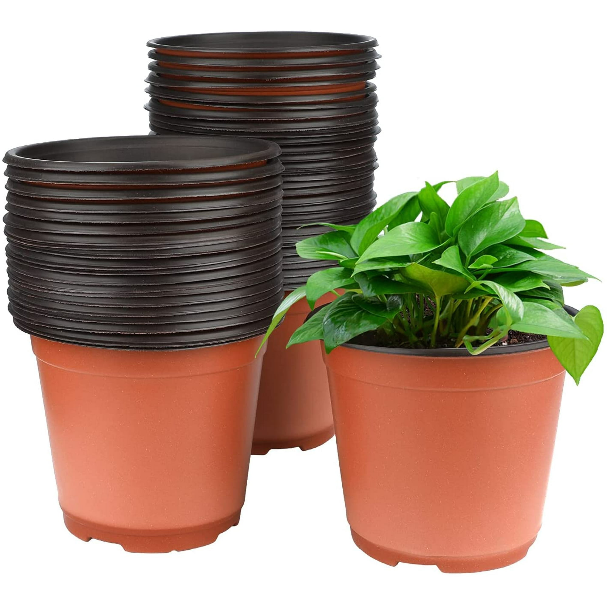 Click here for Jinsinto 100 Plastic Plant Pots 15cm Seed Pots Per... prices