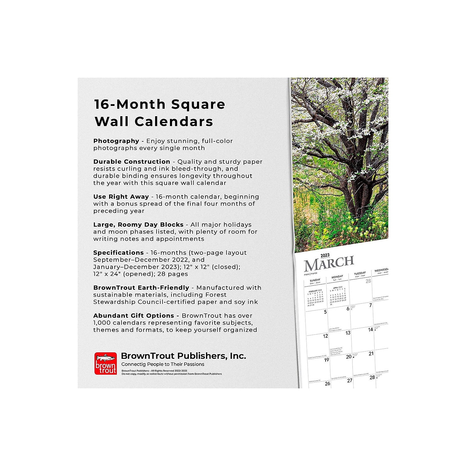 2023 BrownTrout The Majesty of Trees 12” x 12” Monthly Wall Calendar ...