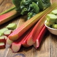 Van Zyverden Rhubarb Victoria Set of 5 Plants White Full Sun Flowering ...