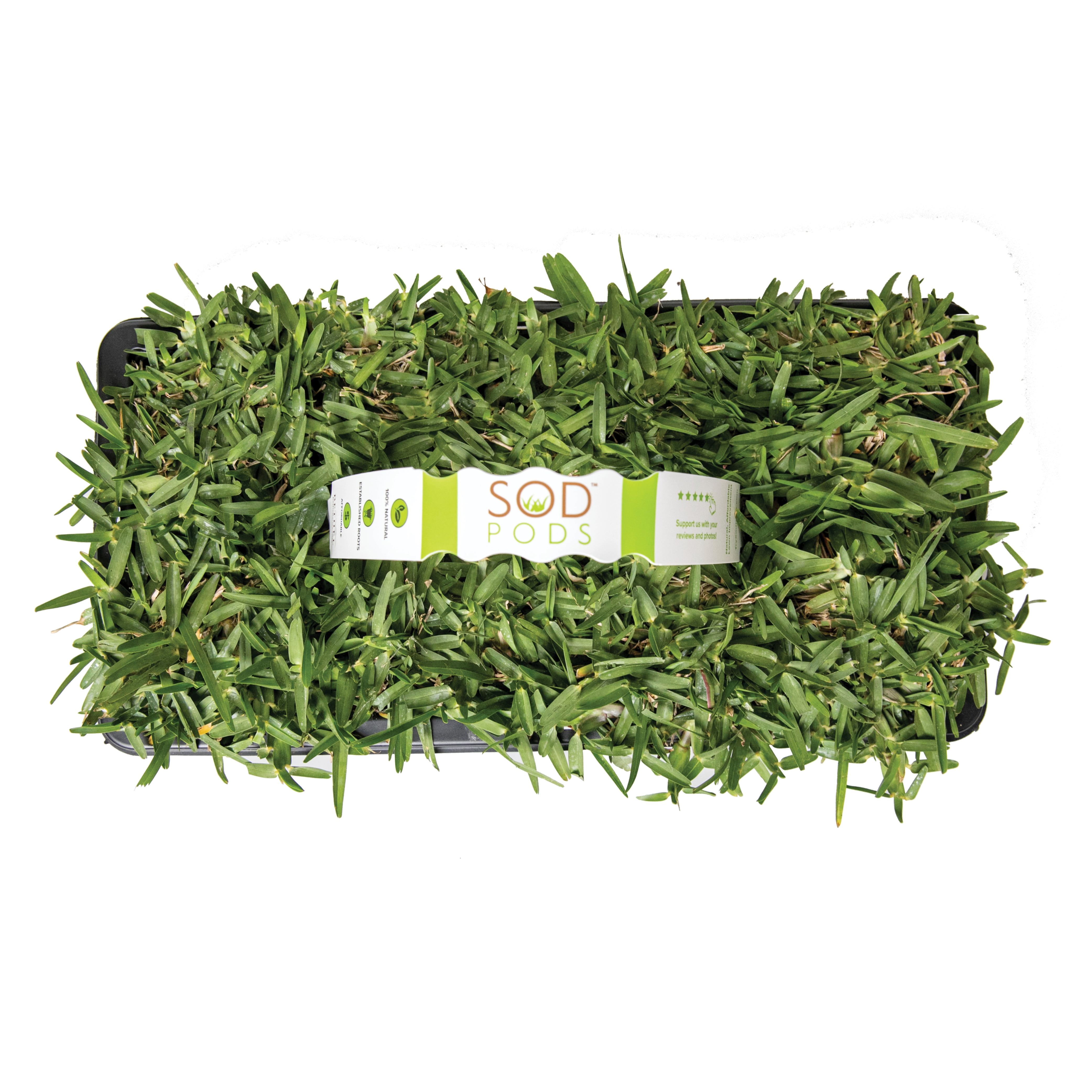 Sod Pods 32-Count Affordable Lawn Improvement Natural Cannot Ship To CA ...