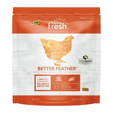 Kent Multi-Flock Chicken N Game Starter Grower 22 Poultry Crumble 7lb ...