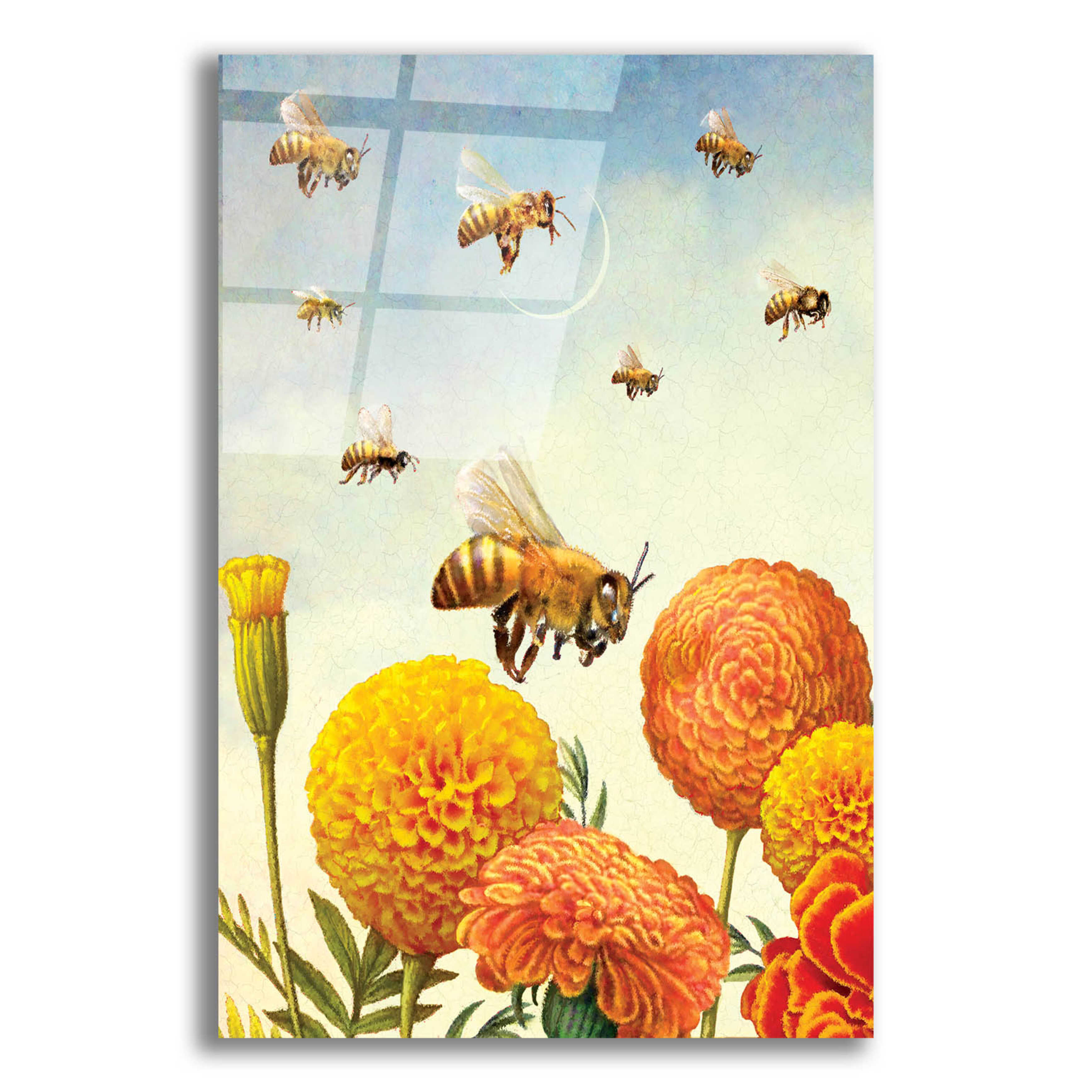 Epic Art '8 Of Fire Bees' by Dan Craig, Acrylic Glass Wall Art, 16"x24 ...