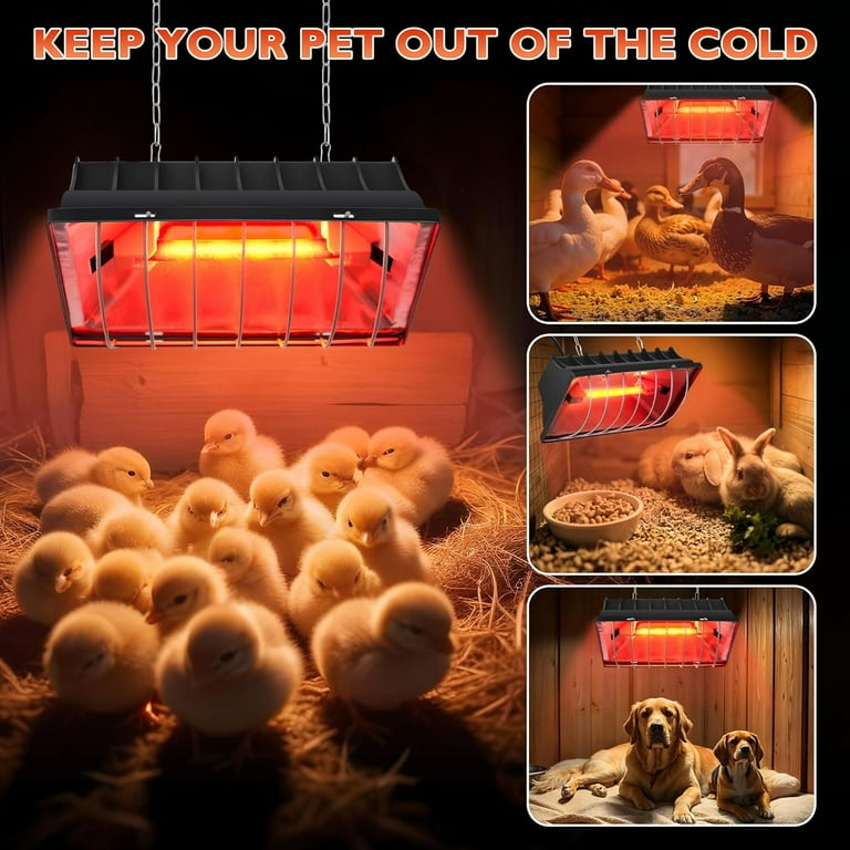 Heat Lamp For Outside Pets