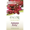 Encore Azalea Autumn Ruby (2 Gallon) Red Flowering Shrub - Full Sun ...