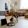 Dog Feeding Reminder Magnet - Cat Dog Feeding Chart with Have We Been ...