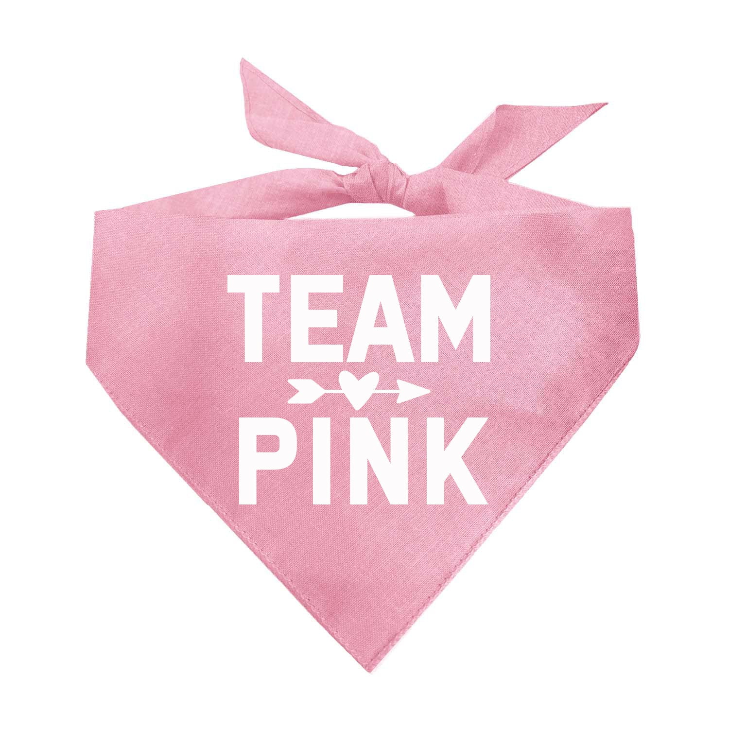 Team Pink Or Team Blue Triangle Dog Bandana (Sold Separately) - Walmart.com