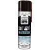 RustKote Salt Neutralizer Aerosol, 16oz, Corrosion Protection, Attacks ...