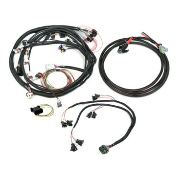 FiTech 30002 Fuel Injection System - Walmart.com