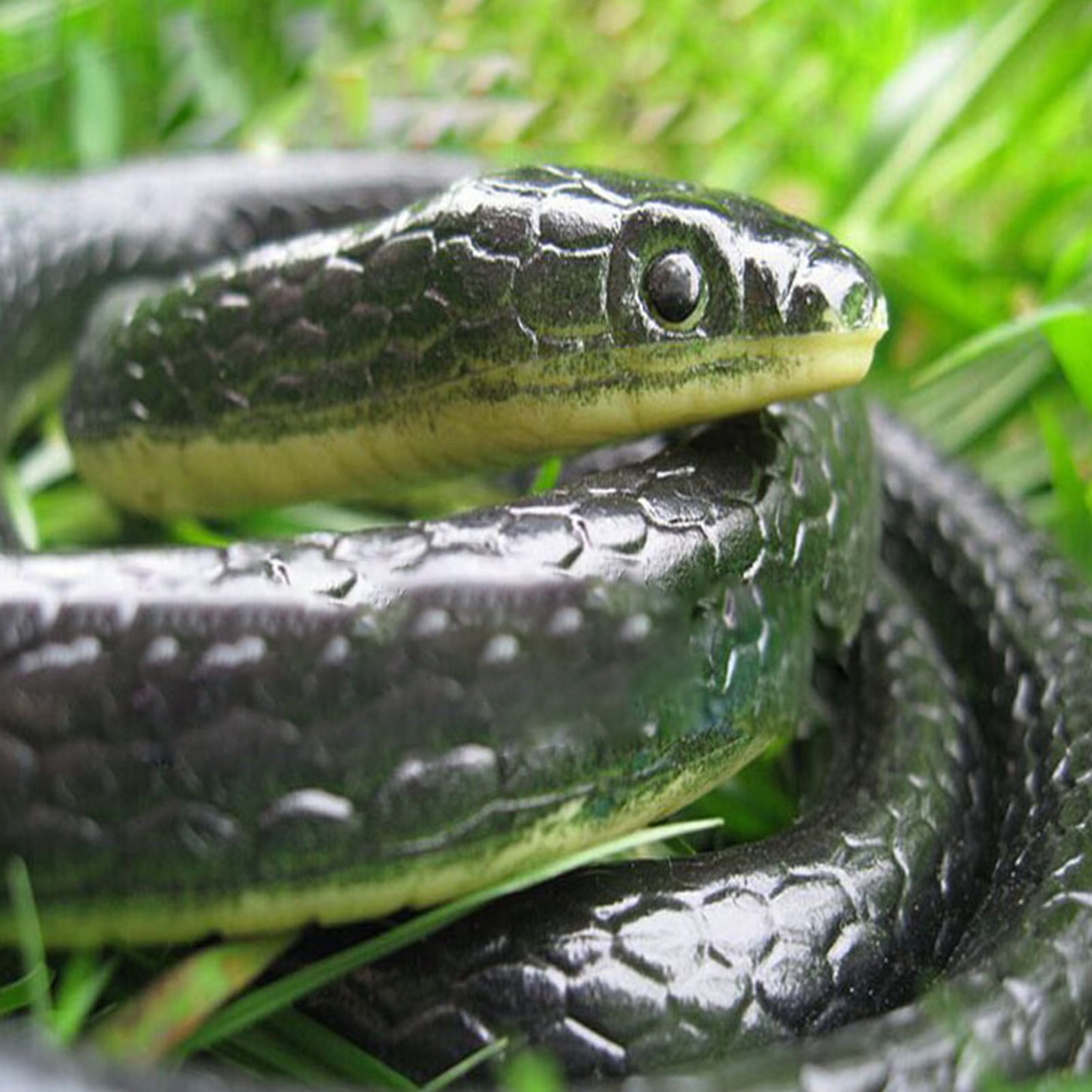 Ruanlalo Fake Snake,Fake Snake Realistic Scales Creative Simulation ...