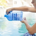 Champion Acid Blue Muriatic Acid 4-Pack for Pool pH Balancing, Concrete ...