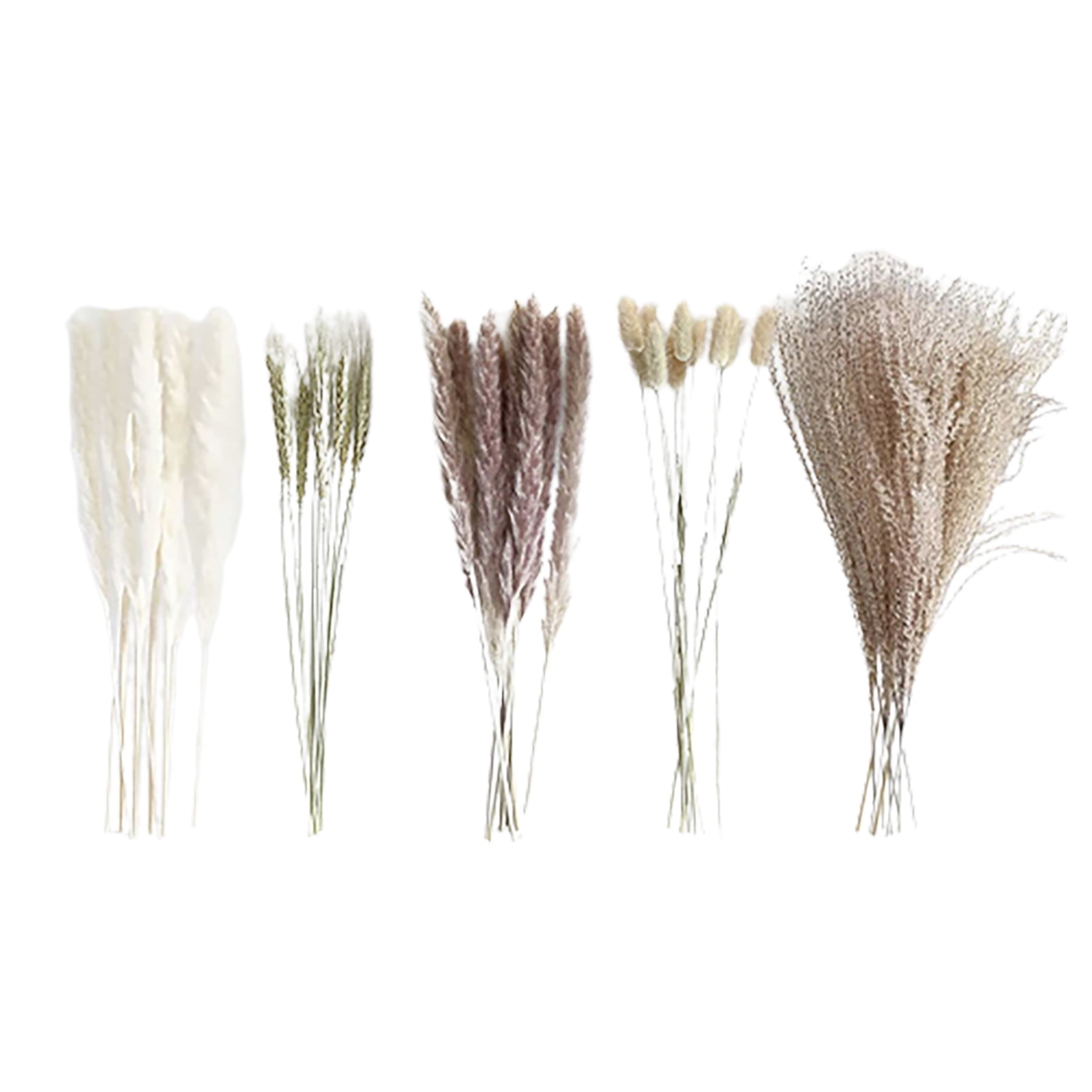 DISHAN Natural Dried Reed Grass Bouquet - 1 Bunch, No Watering, Non ...