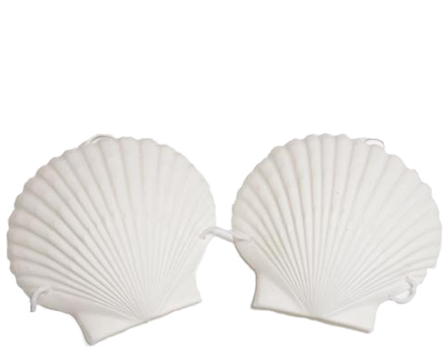 Tropical Hawaiian Luau Sea Shell Mermaid Bra Bikini Top, White, One ...