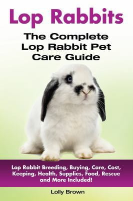 Pre-Owned Lop Rabbits: Lop Rabbit Breeding, Buying, Care, Cost, Keeping, Health, Supplies, Food ...