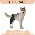 XIRQI 2026 New Pet Dog Knee Brace for Joint Pain Muscle Sore Leg Brace ...