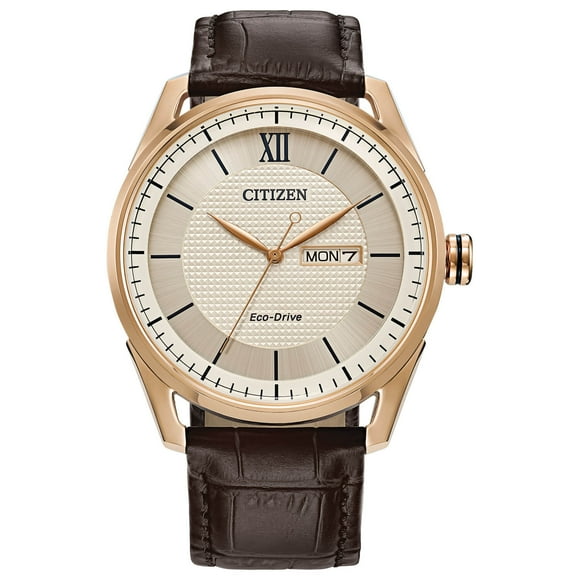 Citizen Watches Men | Walmart Canada