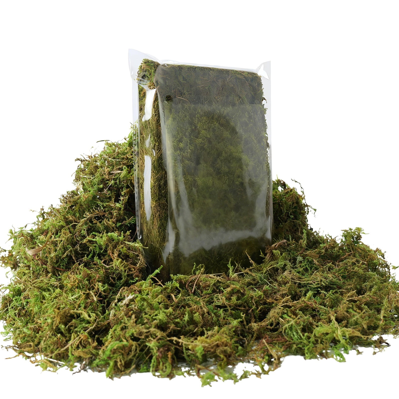 Click here for Tswift 4 Oz (0.25 Lb) Artificial Moss Mat  No-Ligh... prices