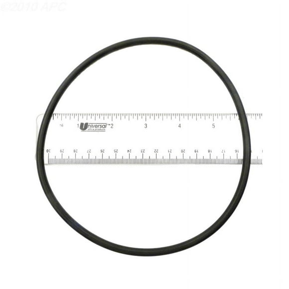 6 Inch O Ring