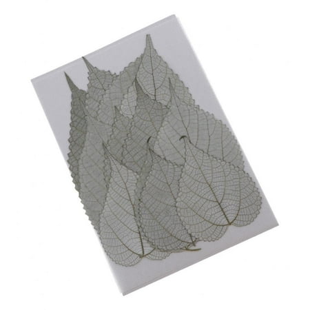 Natural Pressed Sheet 12pcs Natural | Walmart Canada