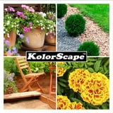 Kolorscape Multi-Purpose Outdoor Decorative Fine Washed Play Sand for ...