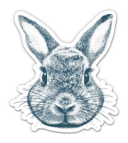 Bunny Drawing - 5" Vinyl Sticker - For Car Laptop I-Pad - Waterproof ...