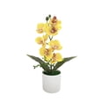 JHyouerji Plastic Artificial Phalaenopsis Potted Bloom with 7 Flower ...