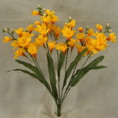 Yellow Freesia Bush
