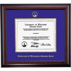 University of Delaware 12" x 16" Gold Embossed Diploma Frame - Walmart.com
