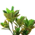 45.75" Green Yellow and Red Potted Artificial Croton Tree - Walmart.com