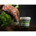 GROTAB 3-in-1 Plant Food Tablets Natural 12-8-4 Plant Fertilizer ...