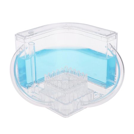 3d Ant Farm Educational Maze Live Feeding System Ants Habitat World Pet ...