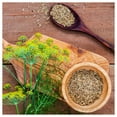 Everwilde Farms - 1 lb Florence Fennel Herb Seeds - Gold Vault Bulk ...
