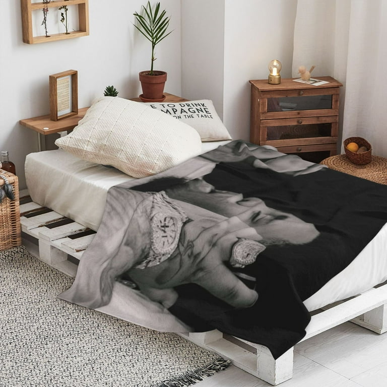 Singer bed sofa store