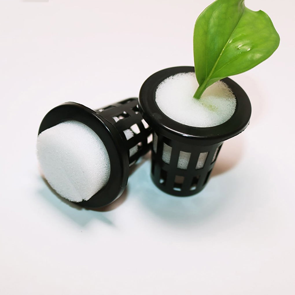 Buy 100pcs Hydroponic Seed Nursery Plant Pot Sponge Water Cultivation ...