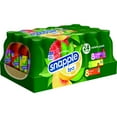 Snapple Ice Tea Drink, Variety Pack, 24 Pk./20 fl. oz. - Walmart.com