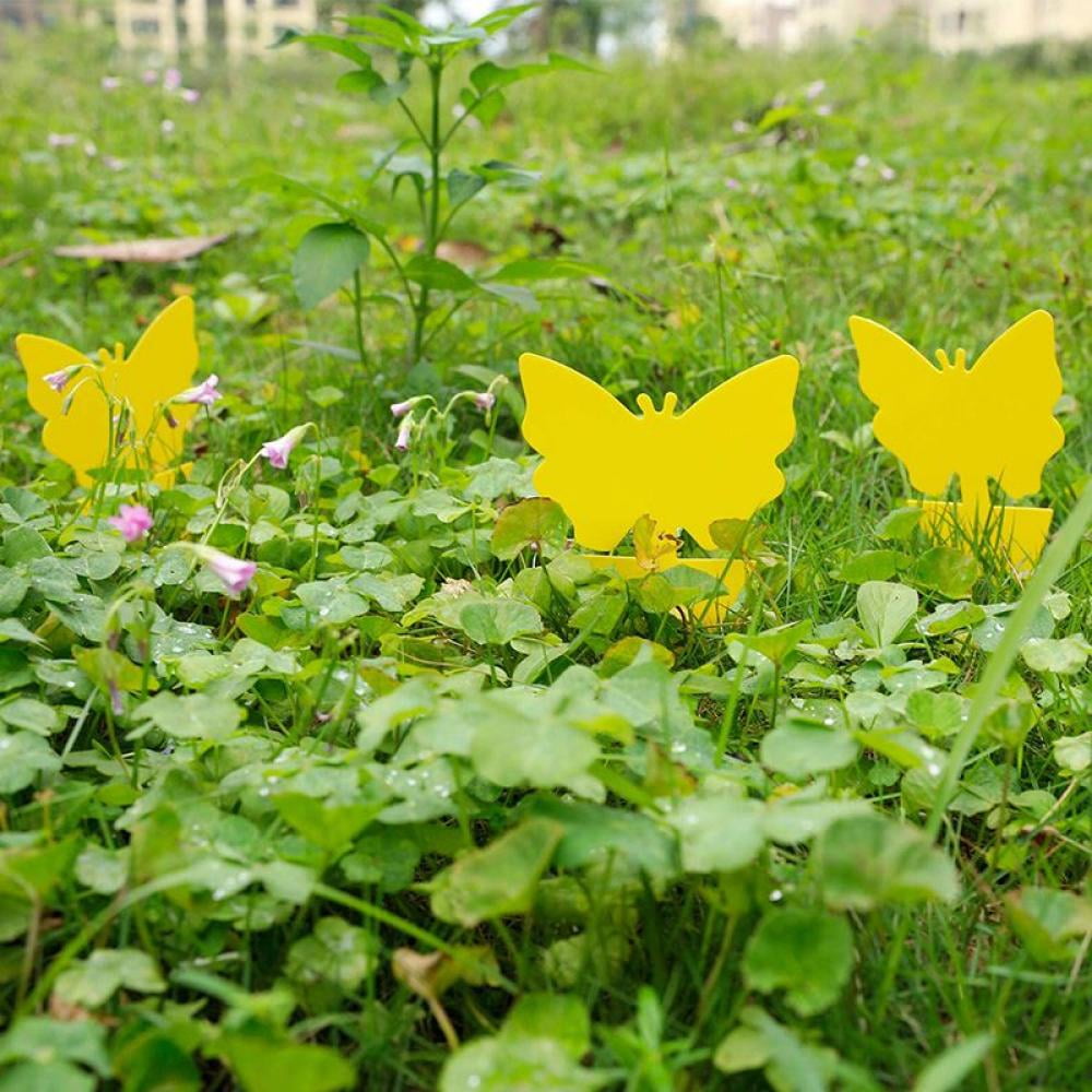 30 Pcs Sticky Traps for Fruit Fly, White Fly, Mosquito and Bug, Yellow ...
