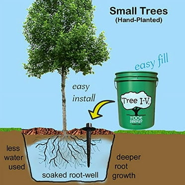 Tree I-V Base Root Feeder | 5-Gal Easy Fill Natural Drain - Walmart.com