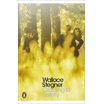 Penguin Orange Collection White Noise: (Penguin Orange Collection ...