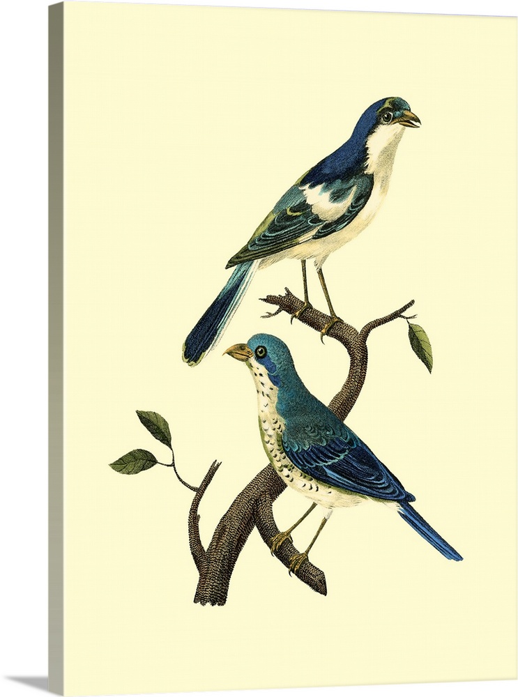 19th Century Art Vintage Architecture Print Neutral Rustic Decor ...