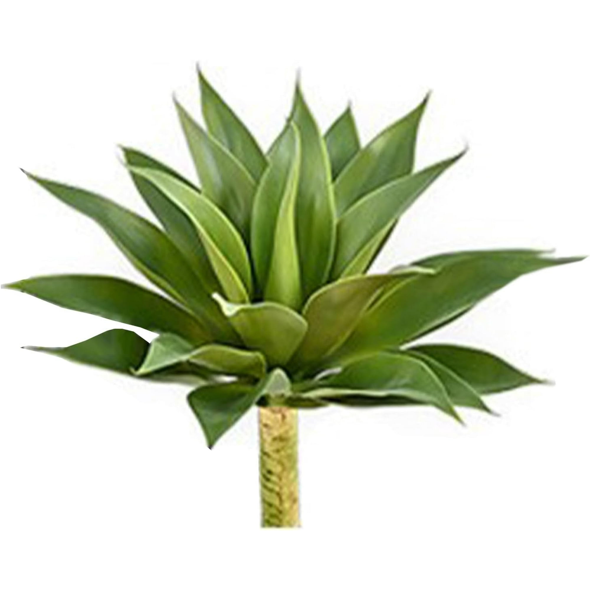 Click here for Unbranded Hugfegwe Artificial Agave Succulent Plan... prices
